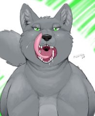 Sheila - The Fidverse Wiki