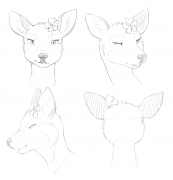 Fiona - The Fidverse Wiki